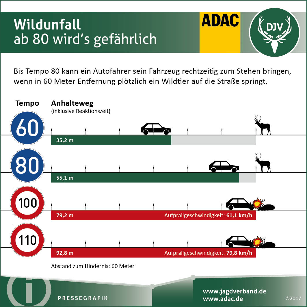 Wildunfall: Tipps und Fakten – MB-Blog